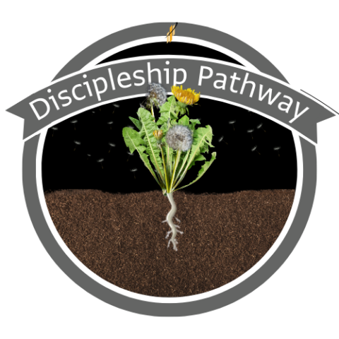 Discipleship Pathway - First Baptist Church Cassville